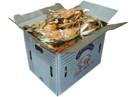 Menu - The Classy Crab®