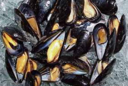Black Shell Mussels - Steamed - The Classy Crab®